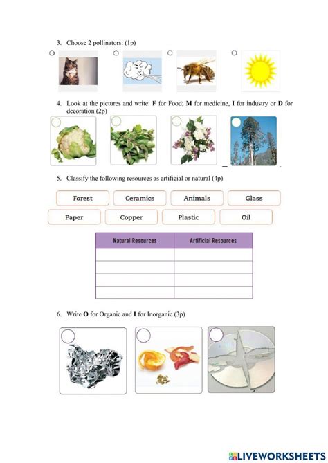 4th Science Worksheet Live Worksheets