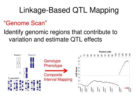 Ppt Genetic Architecture Of Kernel Composition In The Nested Association Mapping Nam