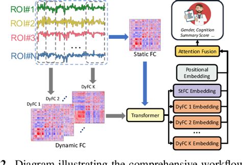 Figure 2 From Dynamic Brain Transformer With Multi Level Attention For
