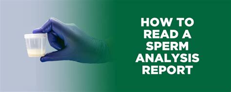 How To Read A Sperm Analysis Report