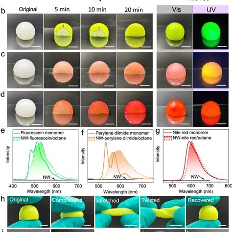 Fluorescence Of Ca2 P2w16 Nw Based Gels A Chemical Structures Of Foms Download Scientific