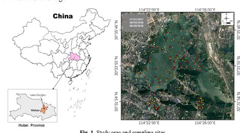 Figure 1 From Genetic Algorithm Back Propagation Ga Bp Neural Network For Chlorophyll A