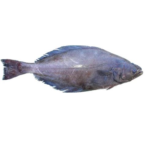 Оптовая продажа со склада рыбы овощей фруктов мороженного компания Food And Sail