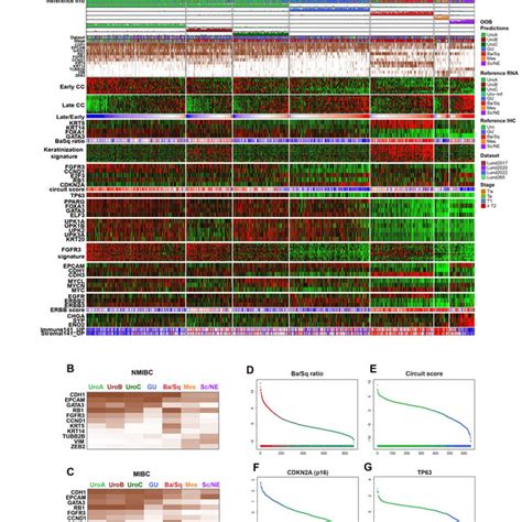 Final Classification Of The Training Data A The Final Classification