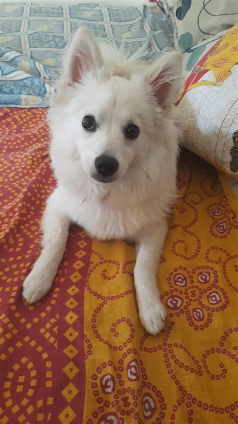 Phoebe And Sofia Phoebe And Sofia Added A New Photo