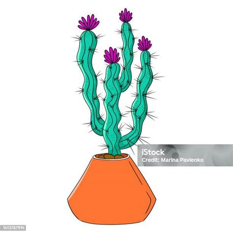 화려한 선인장 낙서 일러스트레이션 흰색 배경에 고립되어 있습니다 0명에 대한 스톡 벡터 아트 및 기타 이미지 0명 귀여운 낙서 드로잉 Istock