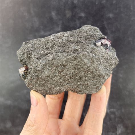 Almandine Garnet In Schist Matrix From Garnet Ledge Wrangell Wrangell