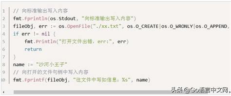 语言输出换行符号是什么 go语言fmt printf使用指南 csdn博客