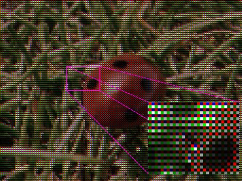 Color Ascii Art