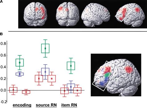 Executive Control During Episodic Retrieval Neuron