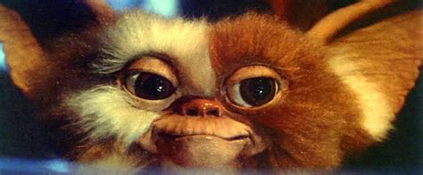 Gremlins 3 Confirmed Chris Columbus Returns To Direct Hitting
