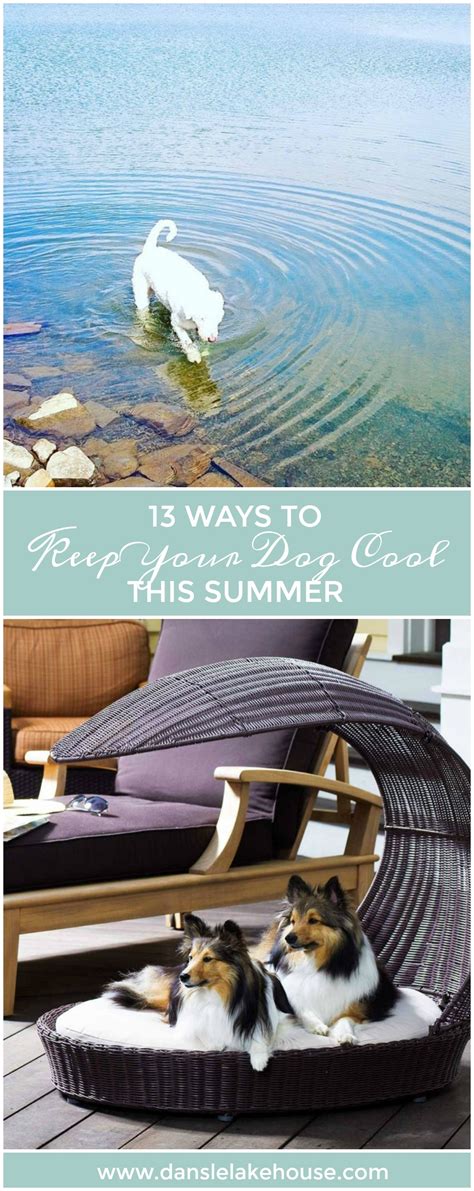 13 Easy Ways To Keep Your Dog Cool This Summer Dans Le Lakehouse