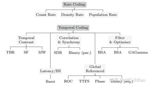 研读 脉冲神经网络信号处理编码技术综述 知乎