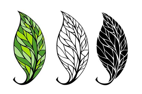 Premium Vector Vector Leaf Shape And Monochromatic One