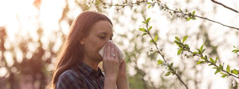 Best Supplements For Seasonal Allergies A Nice Apothecary