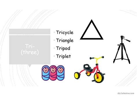 Numerical Prefixes General Vocabular… English Esl Powerpoints