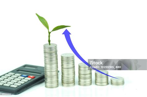 계산기 작은 나무 성장 하 고 흰색 바탕에 위쪽 화살표와 함께 동전을 쌓아 성장 개념 저장 및 사업에 투자 경제에 대한 스톡 사진 및 기타 이미지 Istock