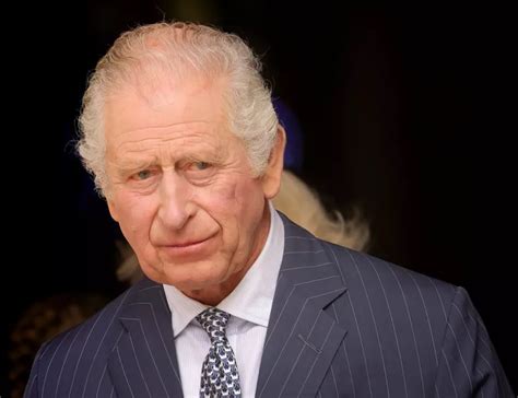 Показаха първия официален портрет на крал Чарлз Iii СНИМКА