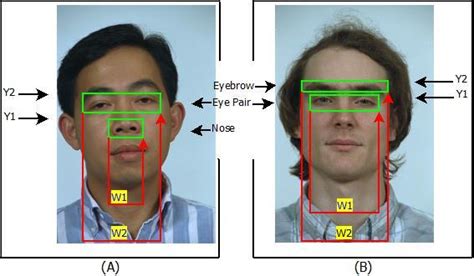 Viola Jones Based Nose Detector Applied To Eye Pair Region Estimation