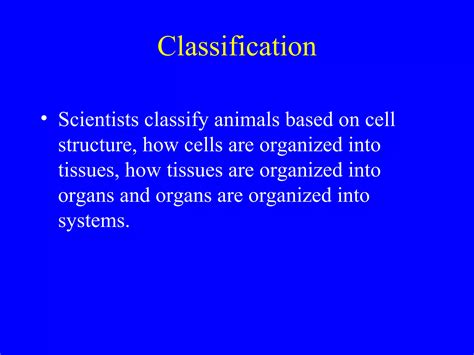 Classifying Animals Ppt