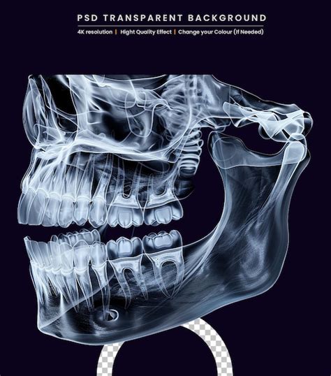 Psd Ortopantomografia Modelos Psd Grátis De Alta Qualidade Para Download
