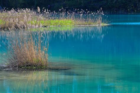 静かな湖面 GANREF