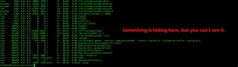 Linux Stealth Rootkit Process Decloaking Tool Updated