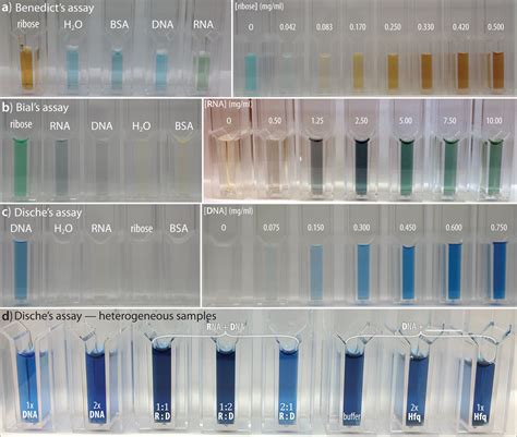 Rapid Colorimetric Assays To Qualitatively Distinguish Rna And Dna In