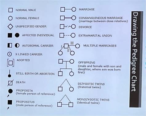 Solved Cystic Fibrosis Pedigree Normal Rrtraitcarrier Rrcf