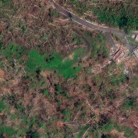 Sin Object Detection Dataset By Princess Sumaya University