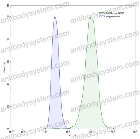 Buy Anti Human Gpc3 Antibody Yp7