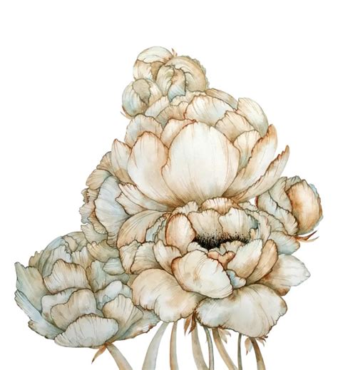 Иллюстрация Пионы в стиле декоративный живопись