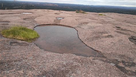 Bootcamp Notes Day 1 Mon Nodejs Week 1 Intro To Node And Express