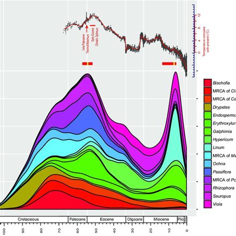 Age Distributions Of Whole Genome Duplications Wgds Among Clades Of