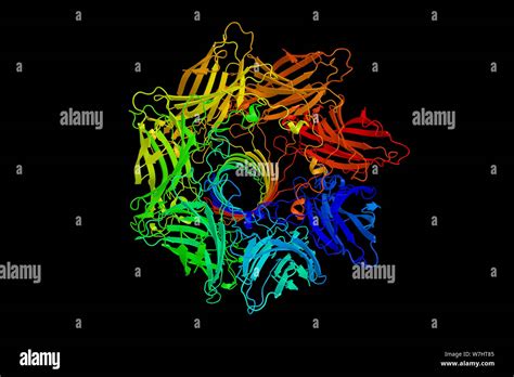 Alpha Toxin The Major Cytotoxic Agent Released By Bacterium Staphylococcus Aureus And The First