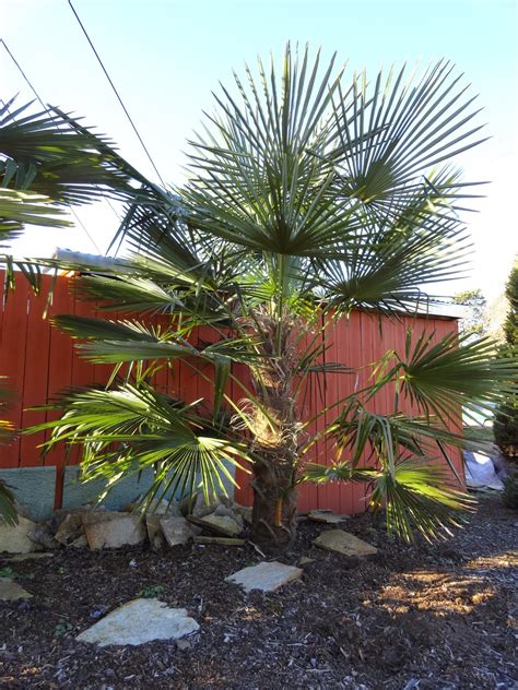 Danger Garden More From The Sidewalks Of NE Portland