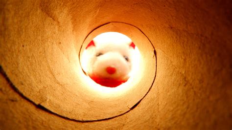 Fibonacci Wallpapers Wallpaper Cave