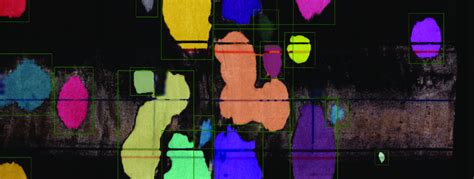 Annotating An Image Using Sam Download Scientific Diagram