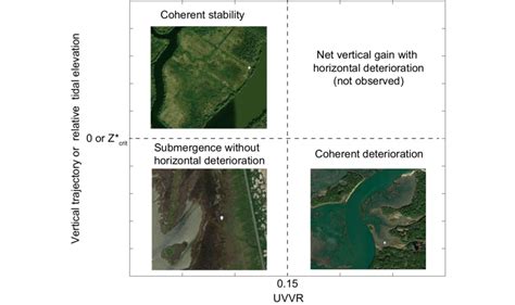 Conceptual Model Of Vertical And Horizontal Coherence Sites In The Top
