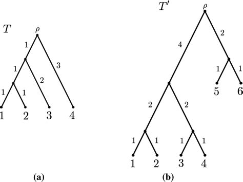 A A Rooted Binary Phylogenetic Tree T On Leaf Set 4 We Have