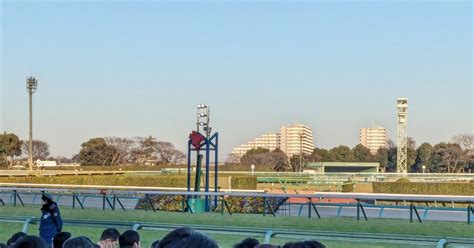 【穴党必見】素人競馬のつぶやき〜ajccg2予習②｜つとむ