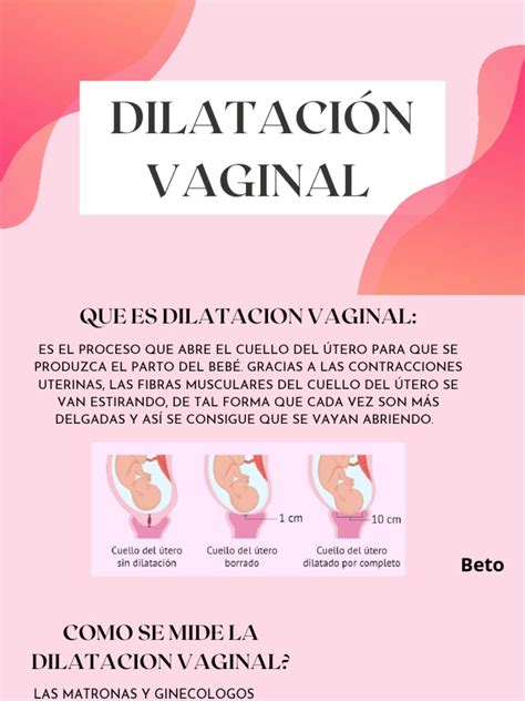 Dilatacion Vaginal Pdf Parto Embarazo Mamífero