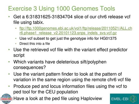 Ppt The 1000 Genomes Project A Tutorial Powerpoint Presentation Free Download Id 6305980
