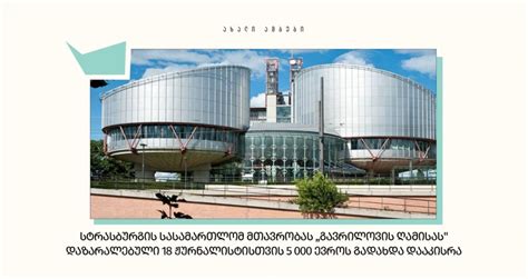 მედია ჩეკერი სტრასბურგის სასამართლომ მთავრობას „გავრილოვის ღამისას დაზარალებული 18