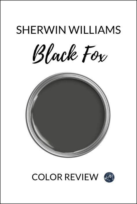 Sherwin Williams Black Fox Paint Color Review