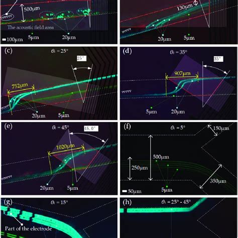 Test Diagram Of Particle Track At Different Positions Under Different Download Scientific