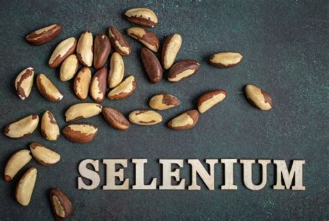 Selenium Deficiency Symptoms Causes And Effective Treatment Claudias Concept