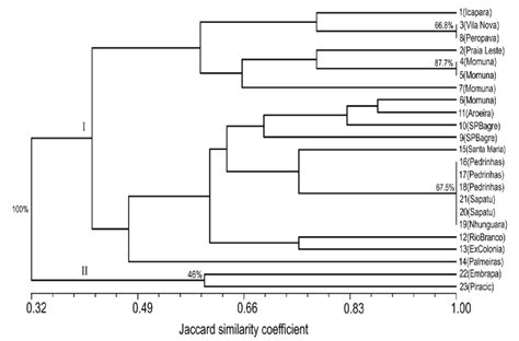 Cluster Analysis Using The Upgma Method For 21 Dioscorea Cayenensis And