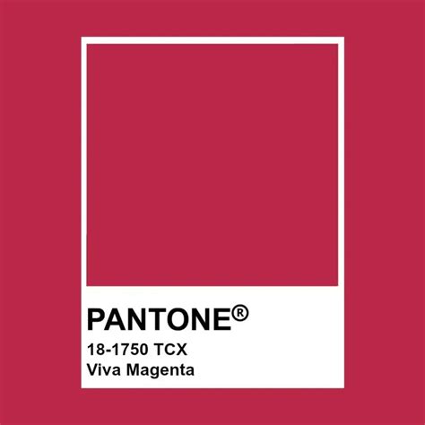 Pantone Names Viva Magenta Color Of The Year