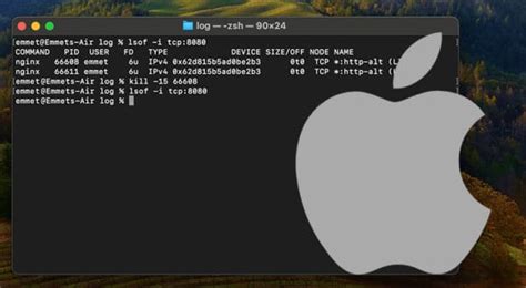 Find And Kill A Process Using A Port On Linux Pi My Life Up